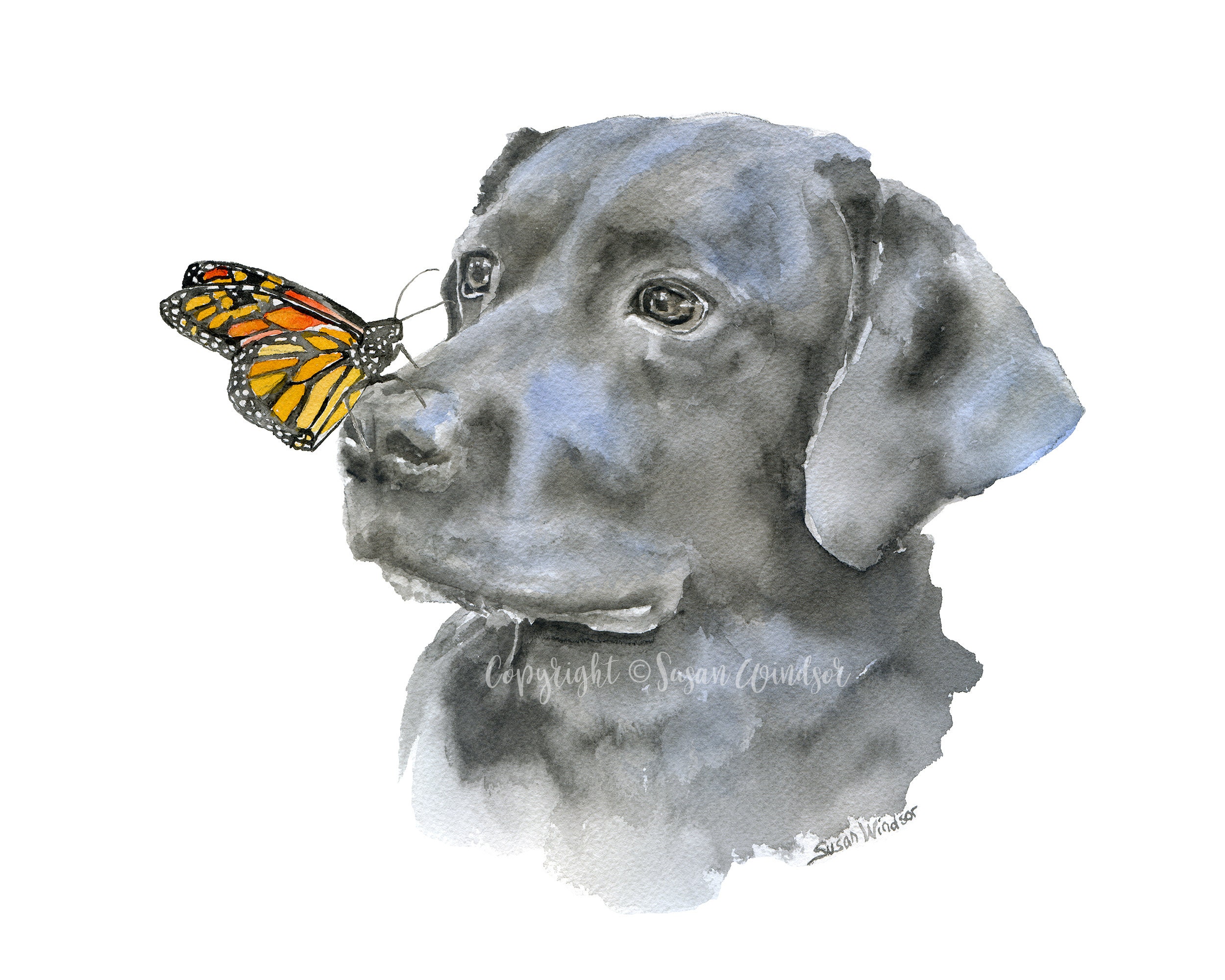 Black Labrador and Monarch Butterfly Watercolor Painting Giclee Print ...
