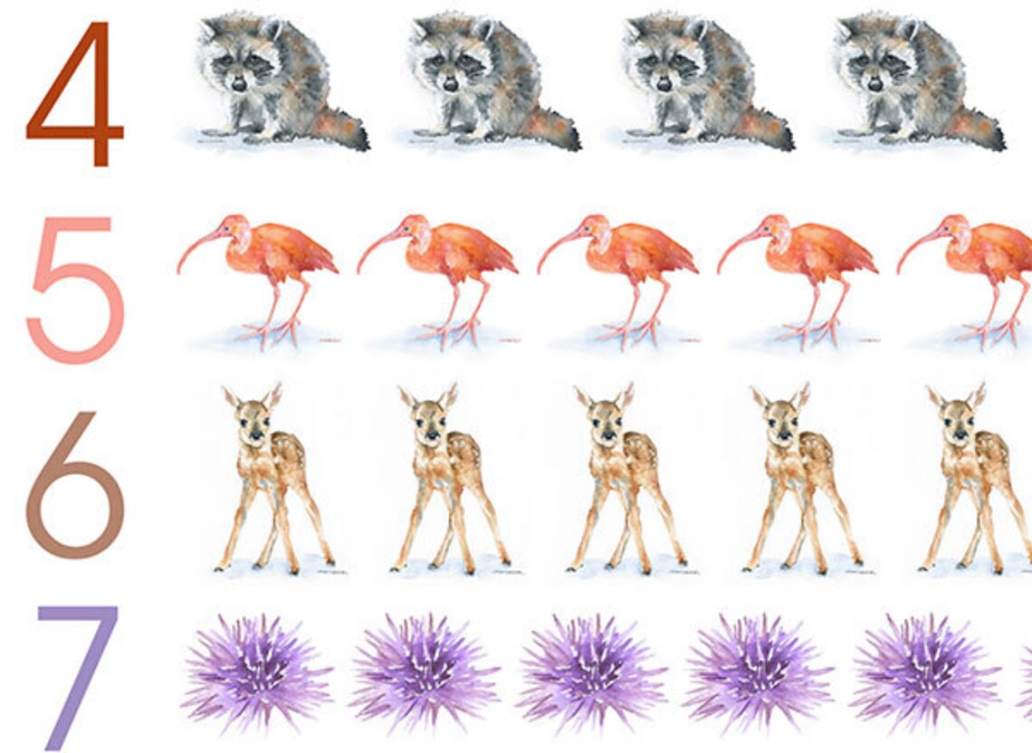 Animal Alphabet and Numbers Poster Set Watercolor Animals 11 - Etsy