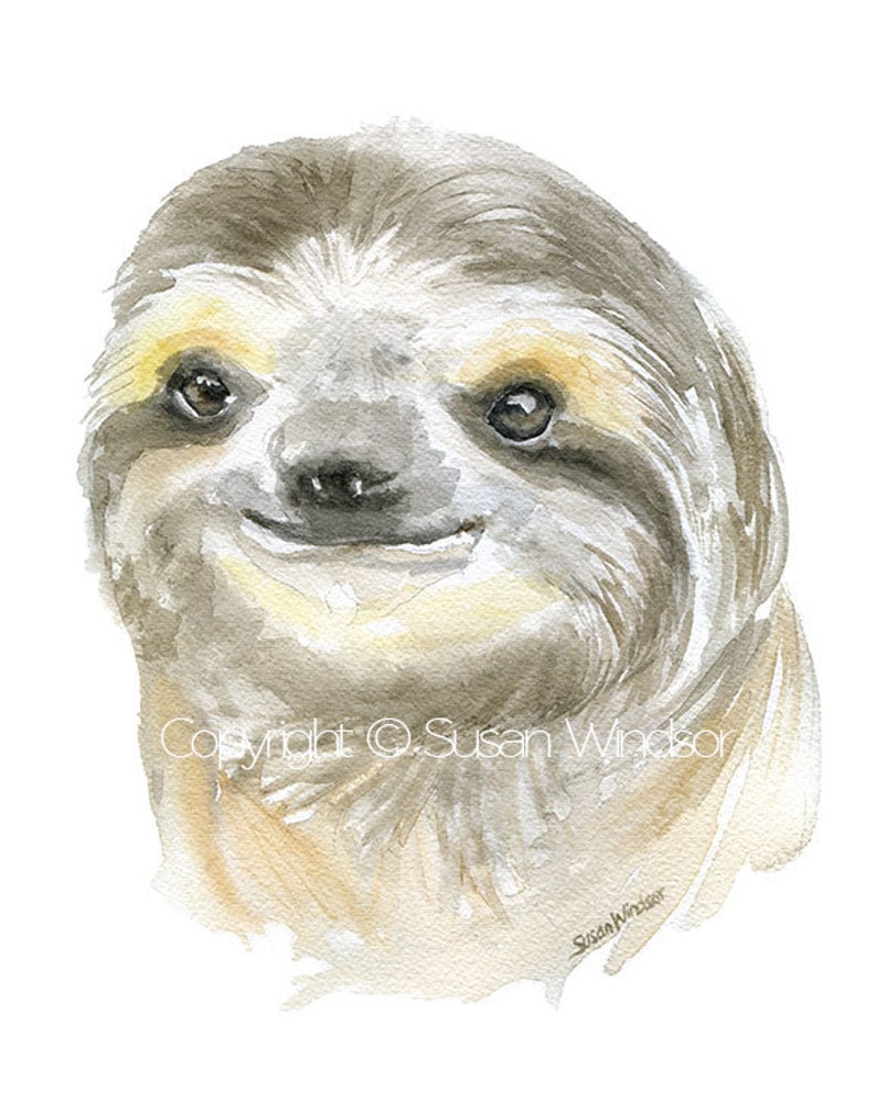 Sloth Face Watercolor Painting Giclee Print Fine Art | Etsy