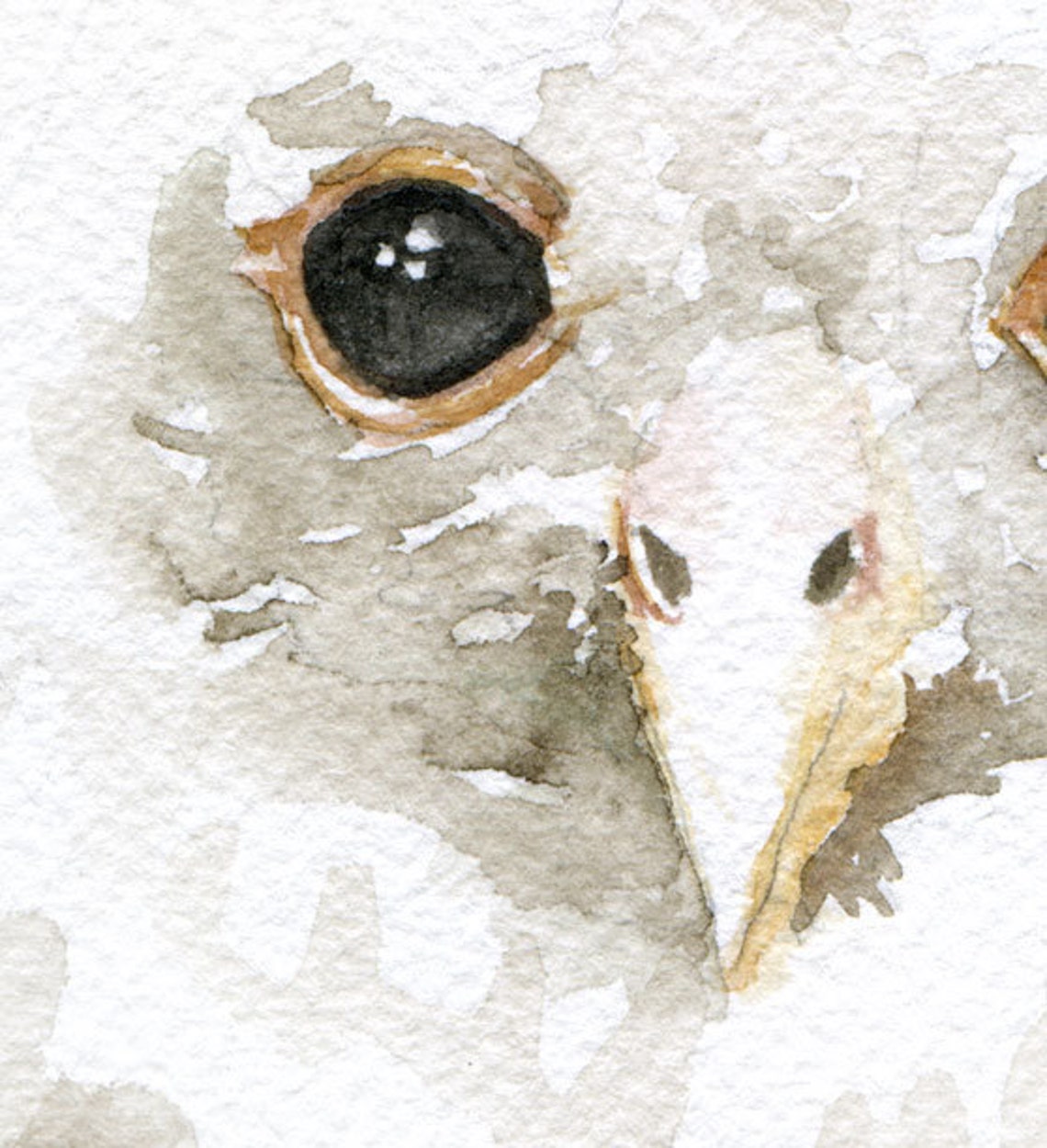 Baby Tawny Owl Watercolor Painting Giclee Print Woodland - Etsy