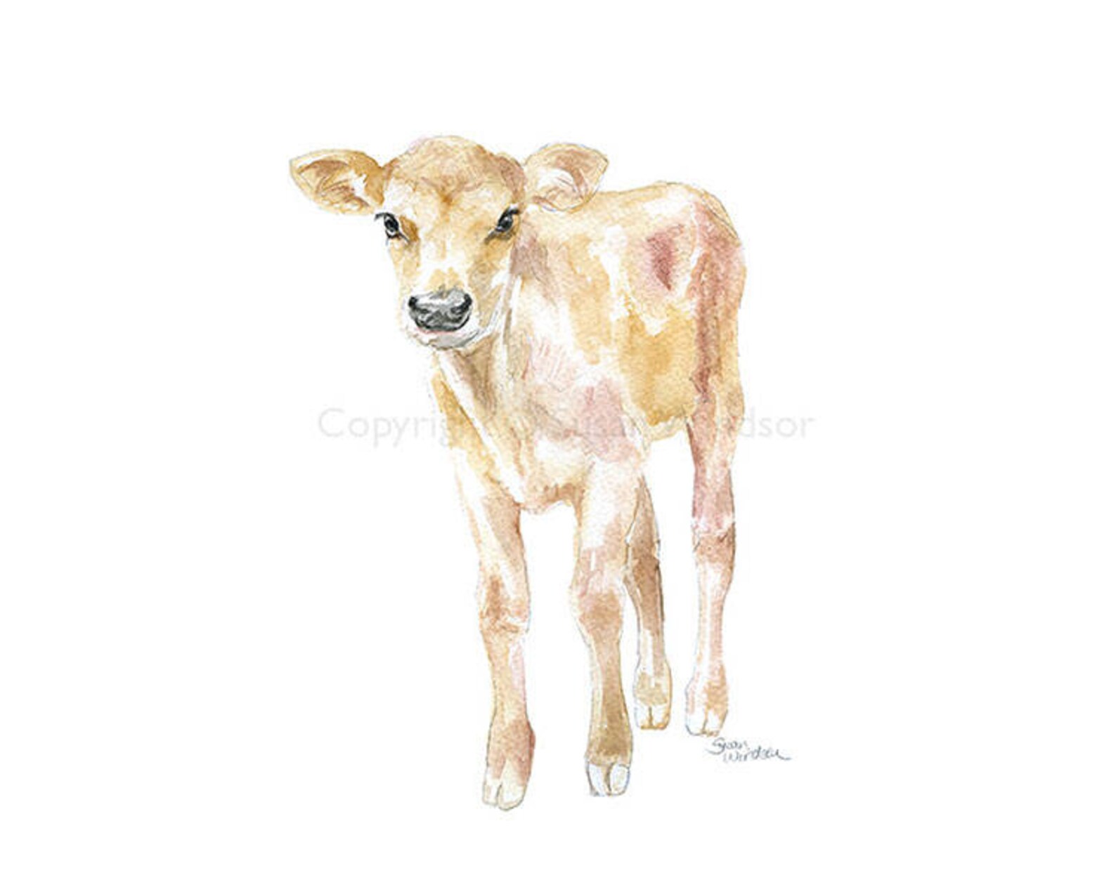 Jersey Cow Calf Watercolor Painting Large Print 16x20 - Etsy