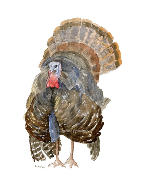 Realistic Watercolor Turkey