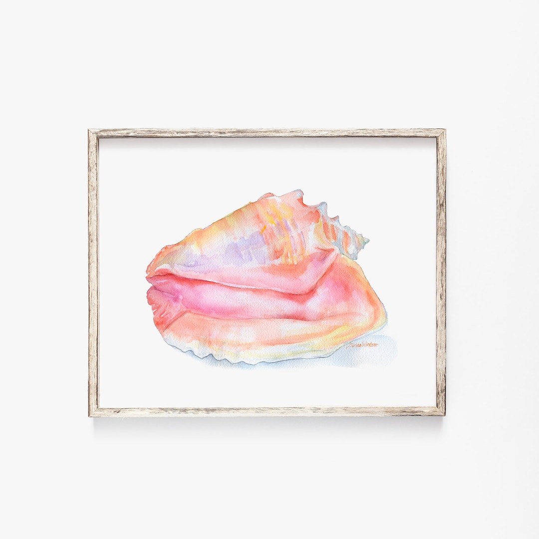 Conch Seashell Watercolor Painting Giclee Print Reproduction UNFRAMED ...