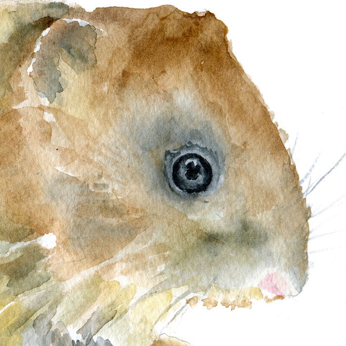 Vole Watercolor Painting Giclee Print Woodland Animal | Etsy