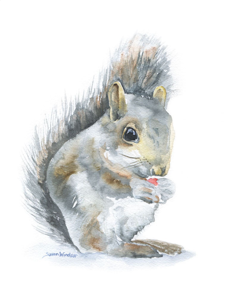Squirrel Watercolor Painting Nursery Fine Art Giclee Print Unframed - Etsy