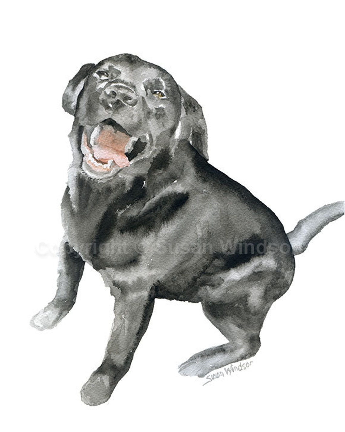 Black Lab Watercolor Painting Giclee Print Preproduction Dog - Etsy