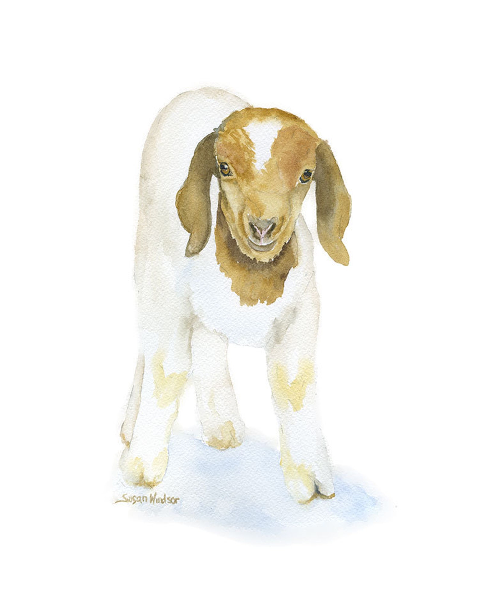 Goat Watercolor Painting - Giclee Fine Art Print - Farm Animals ...