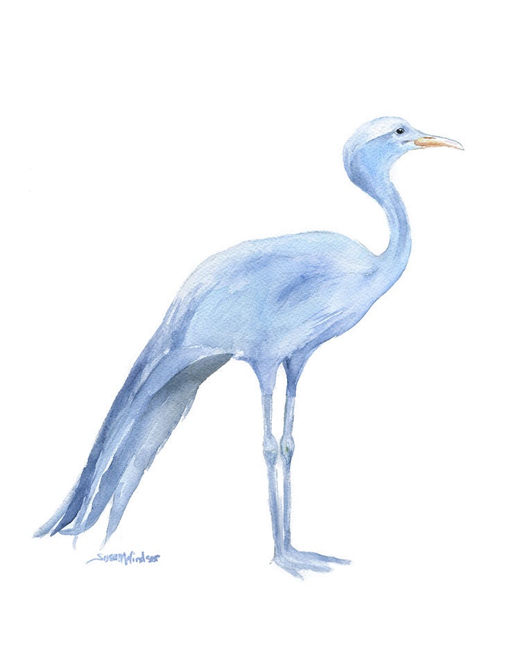 Blue Crane Watercolor Painting Giclee Print 8 x 10 Bird | Etsy