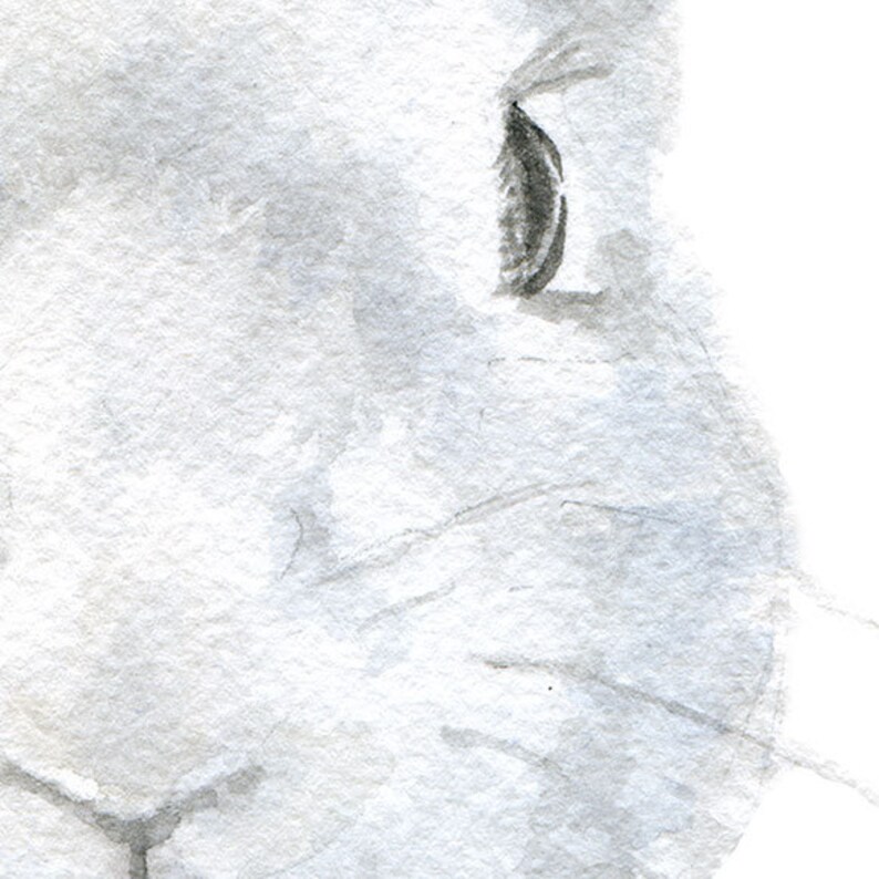 Gray Bunny Rabbit Watercolor Painting Animal Nursery Wall - Etsy