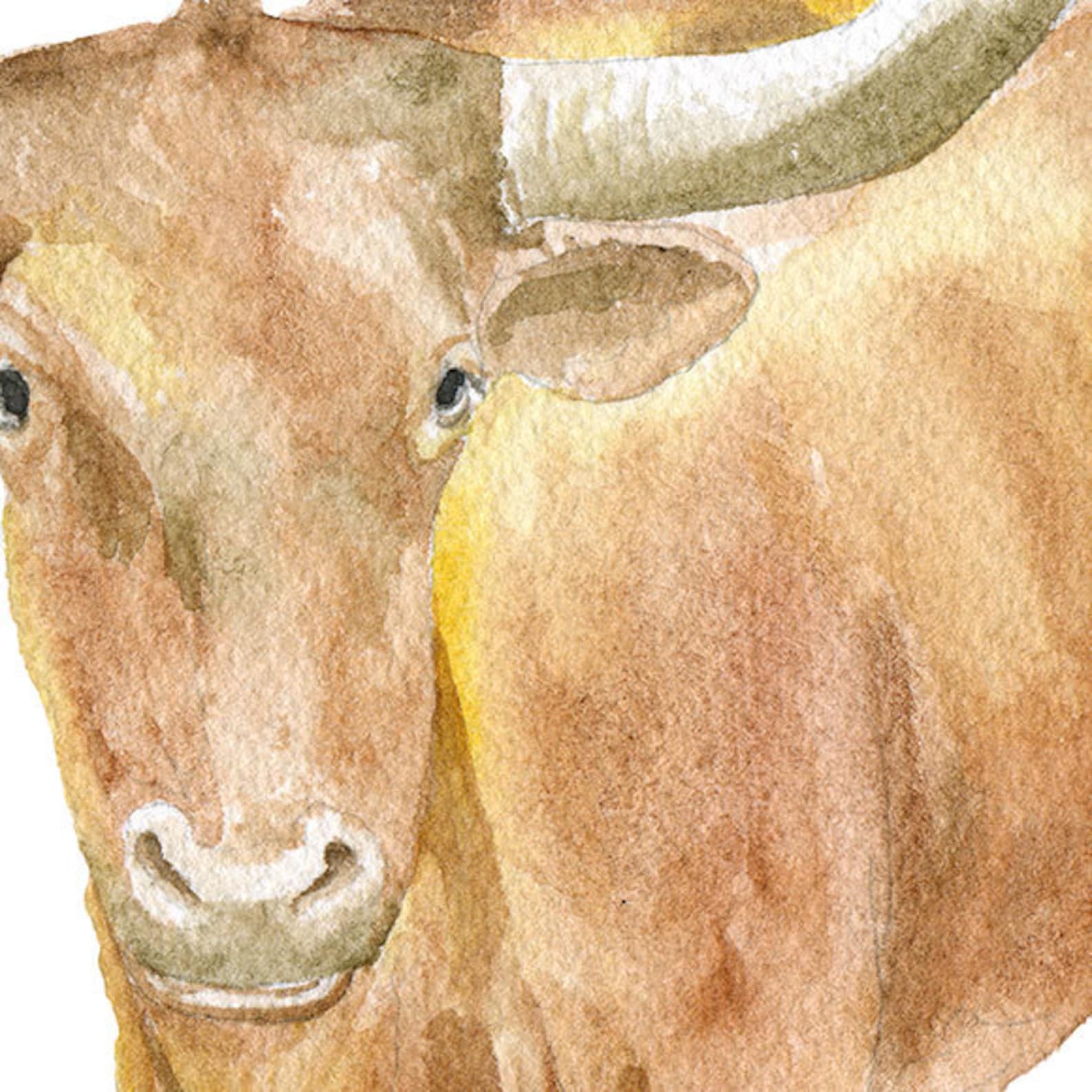 Longhorn Watercolor Painting Fine Art Giclee Print Reproduction ...