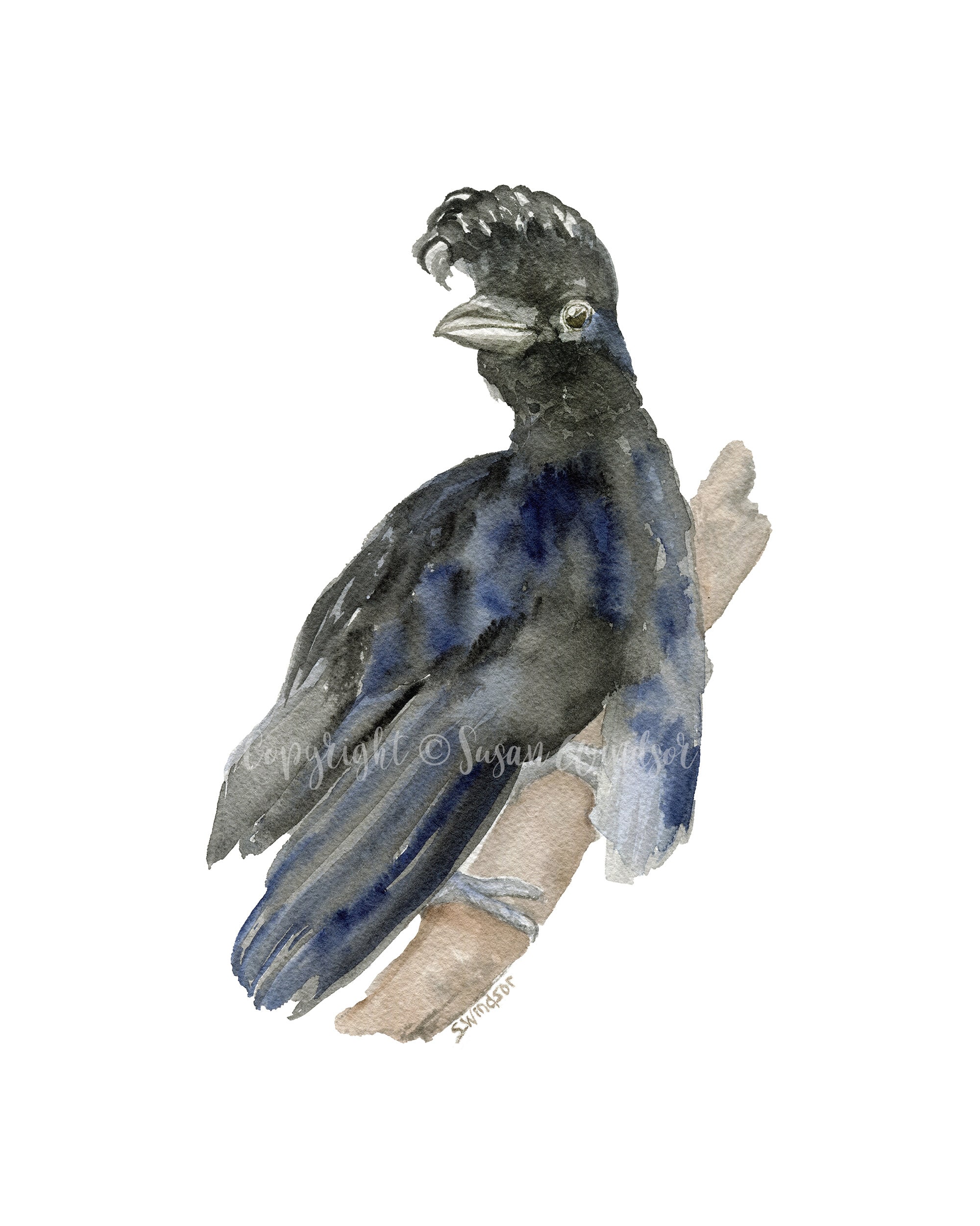 Umbrella Bird Clipart