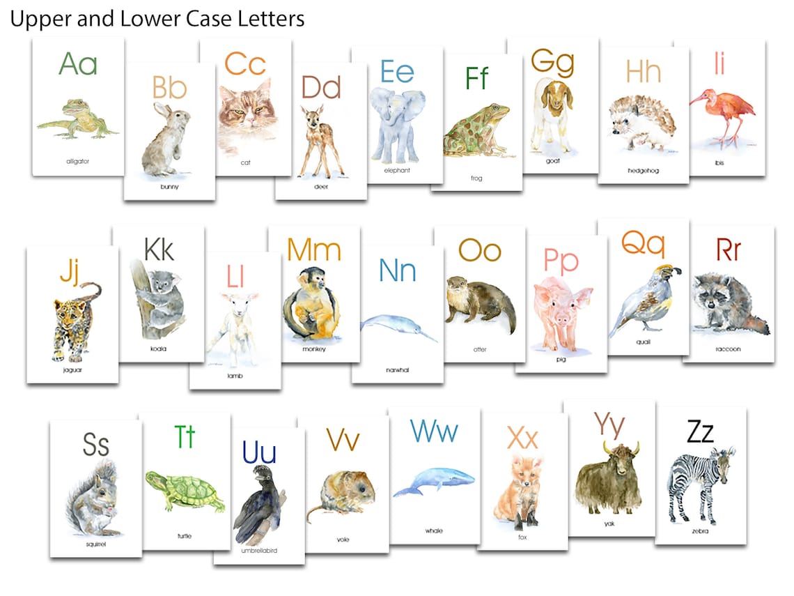 Animal Alphabet Flash Cards Phonetic Watercolor Animals - Etsy