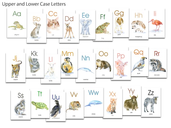 Animal Alphabet Flash Cards Phonetic Watercolor Animals | Etsy