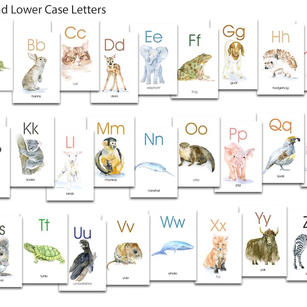 Animal Alphabet - Etsy