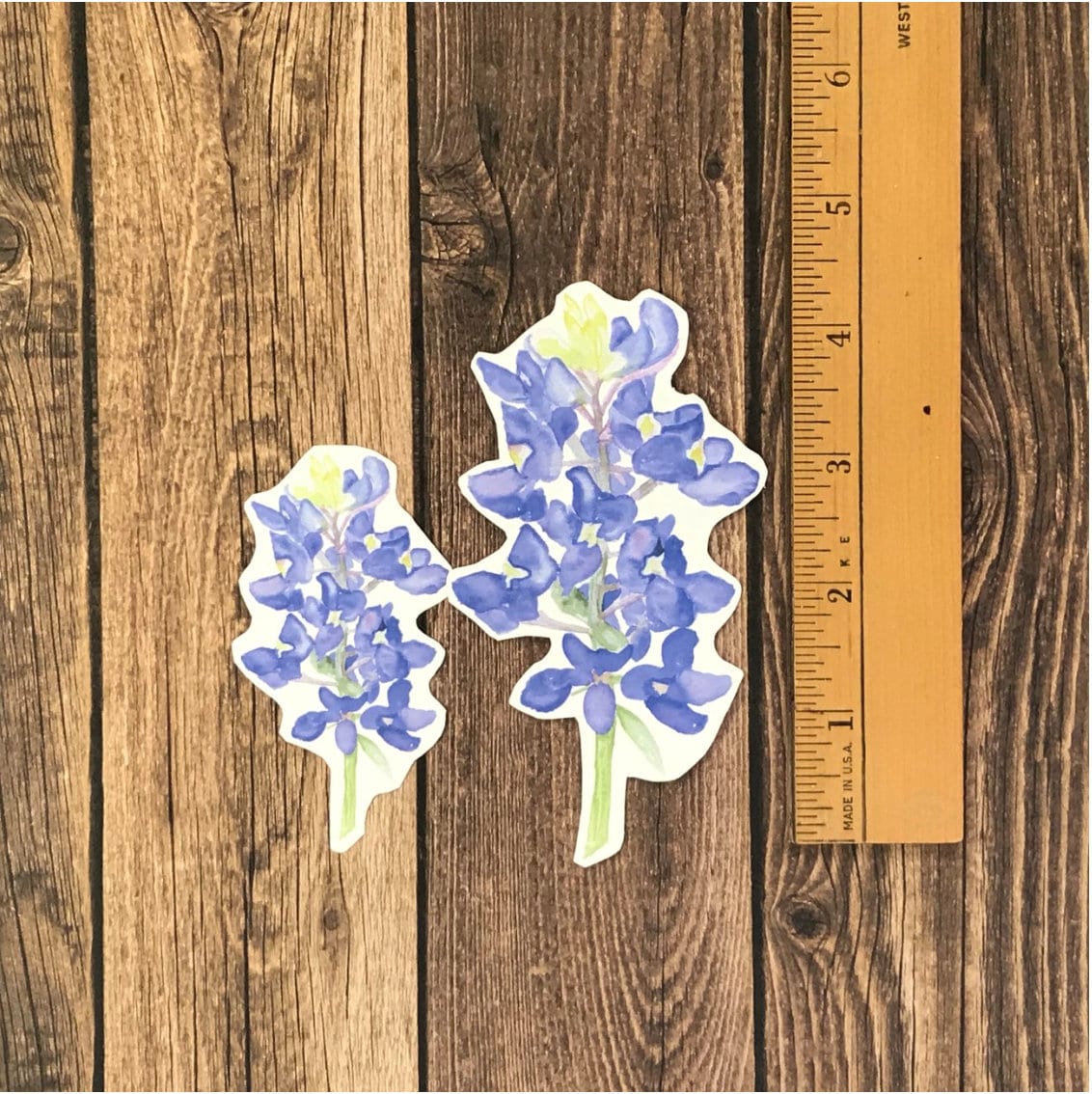 Bluebonnet Vinyl Sticker for Water Bottles and Laptops - Etsy