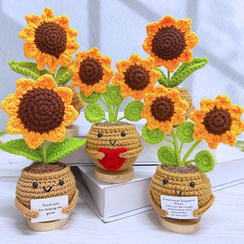 Thank You Pot and Plant - Etsy UK