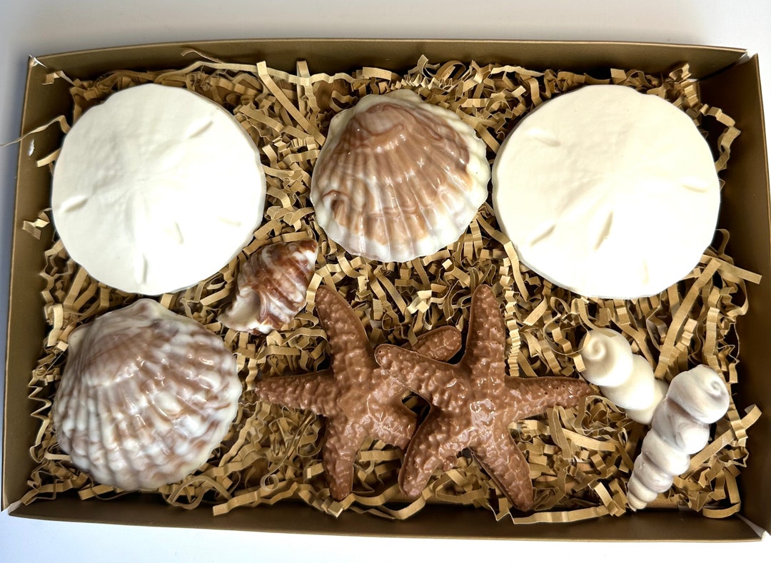 Chocolate Sea Shell Gift Box for Birthday Gift/mothers Day Gift - Etsy