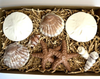 Chocolate Star Fish, Assorted Sizes, Half Pound Bulk Boxes Approx 23 ...