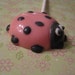 12-chocolate Ladybug Lollipop Favors - Etsy