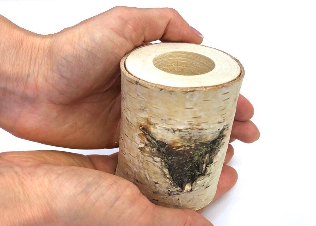 Birch Stump, Natural Tree Stump, Clay Decorative Supplies, Tree Stump ...