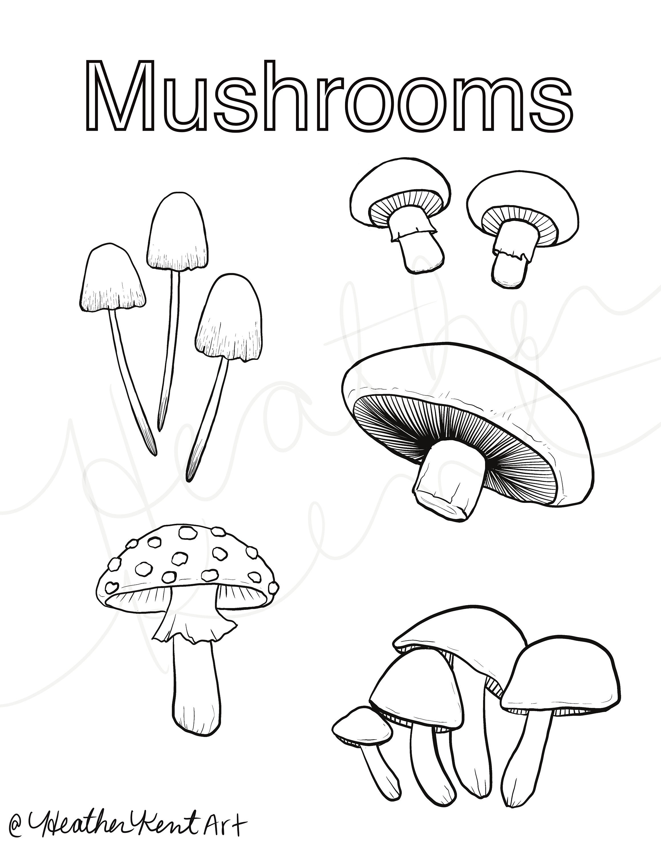 Mushrooms Coloring Page, Toadstool Coloring Sheet, Print Your Own - Etsy