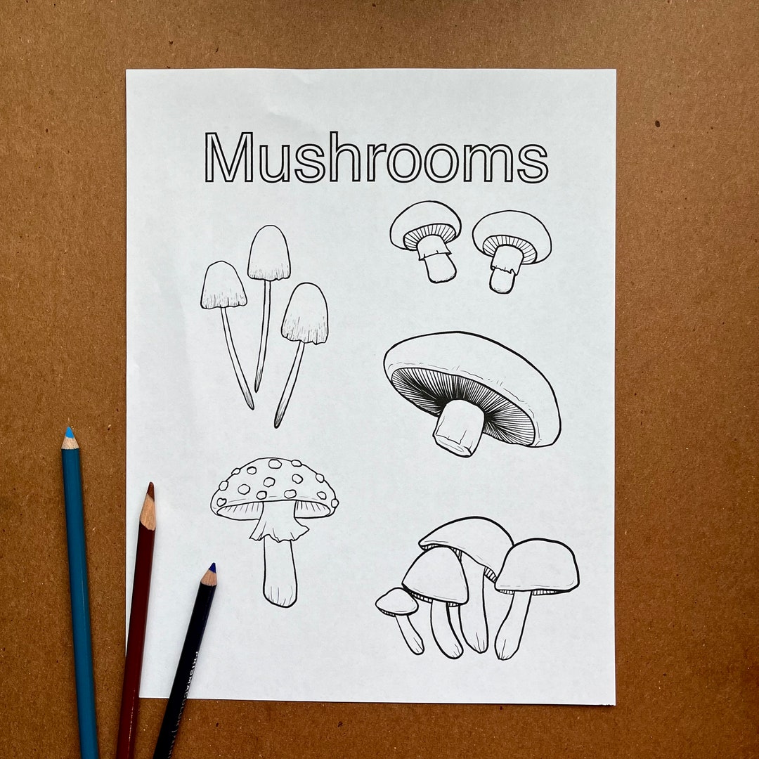 Mushrooms Coloring Page, Toadstool Coloring Sheet, Print Your Own - Etsy