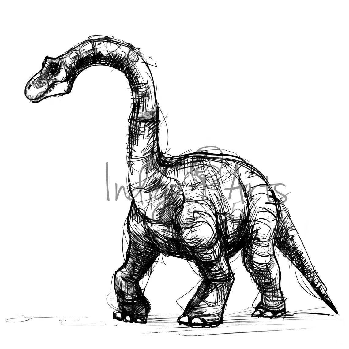 Brontosaurus Digital Download JPG High Res Sketch of Diplodocus ...