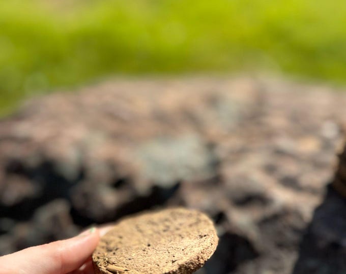 BIG Set of 21 Pooja Havan Sun Cow Dung Cakes, Gobar Uple, Kandle for ...
