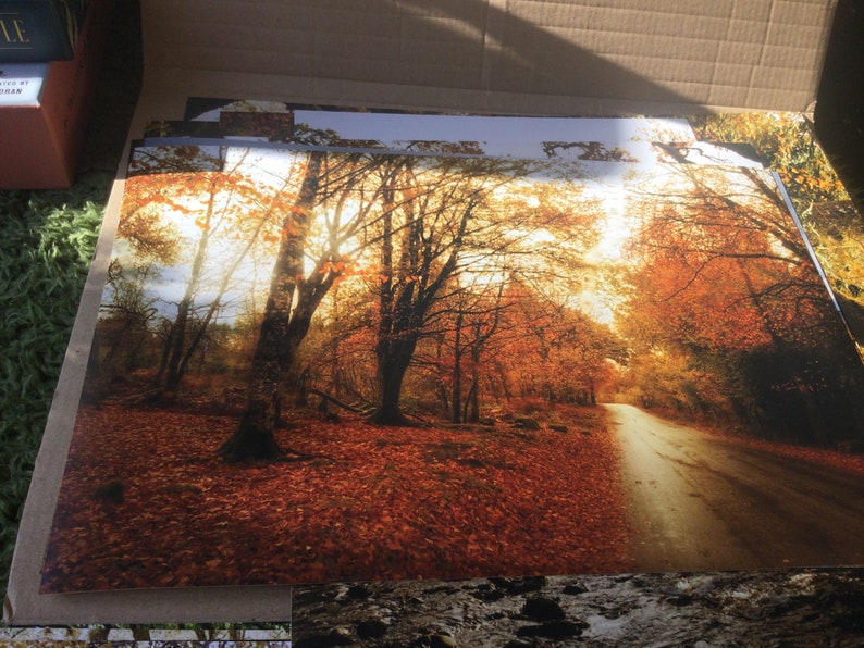 Autumn Lane at Burrator Reservoir, Dartmoor 12 by 8 Photographic Print ...