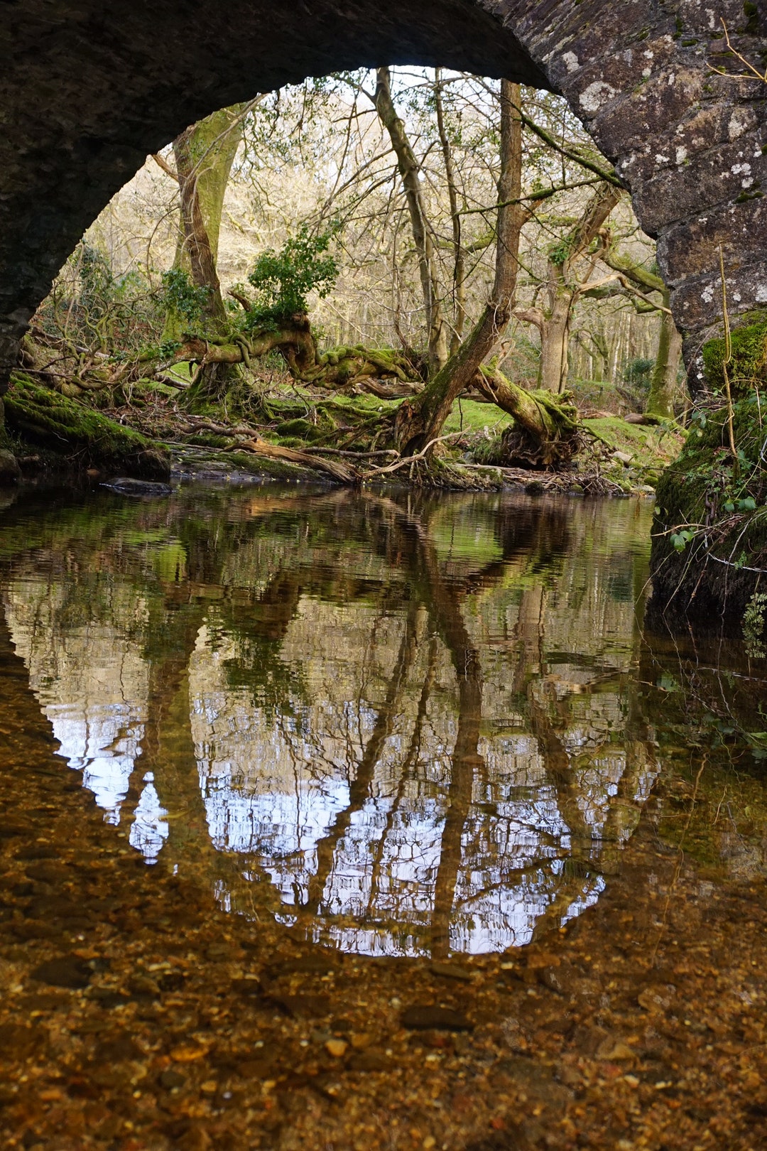 Reflections Under Higher Meavy Bridge, Dartmoor, Devon, 12 X 8 Print ...