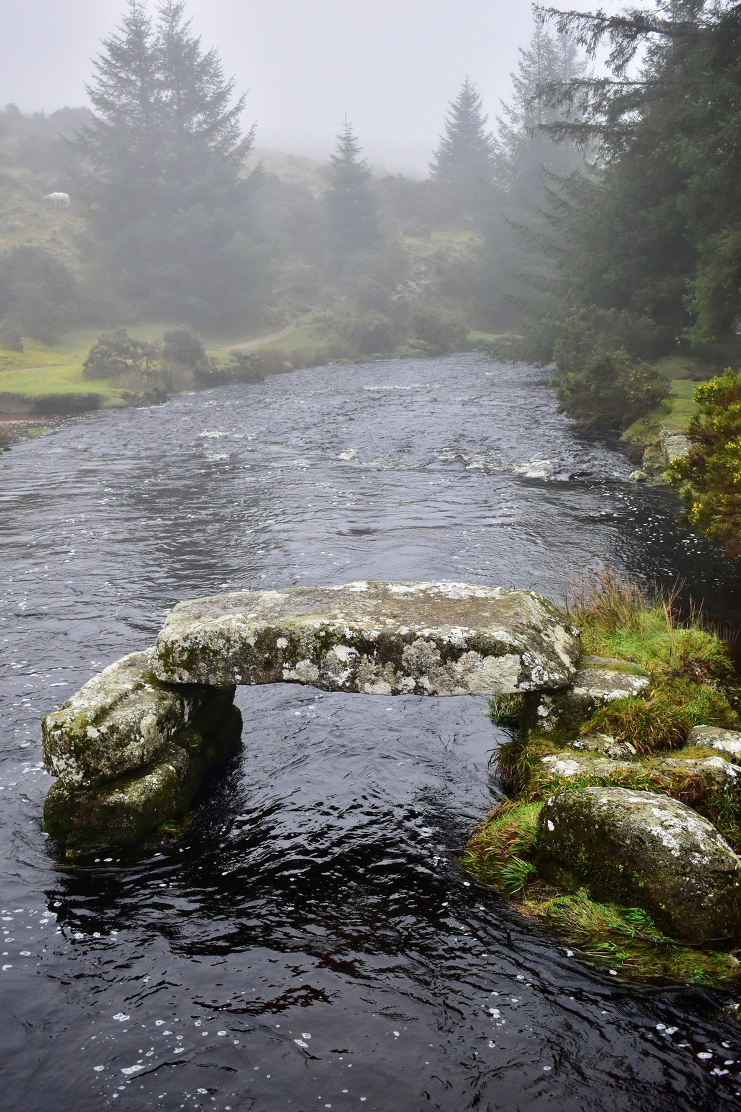 Medieval Clapper Bridge at Bellever in Fog, 12 X 8 Inch Photographic ...