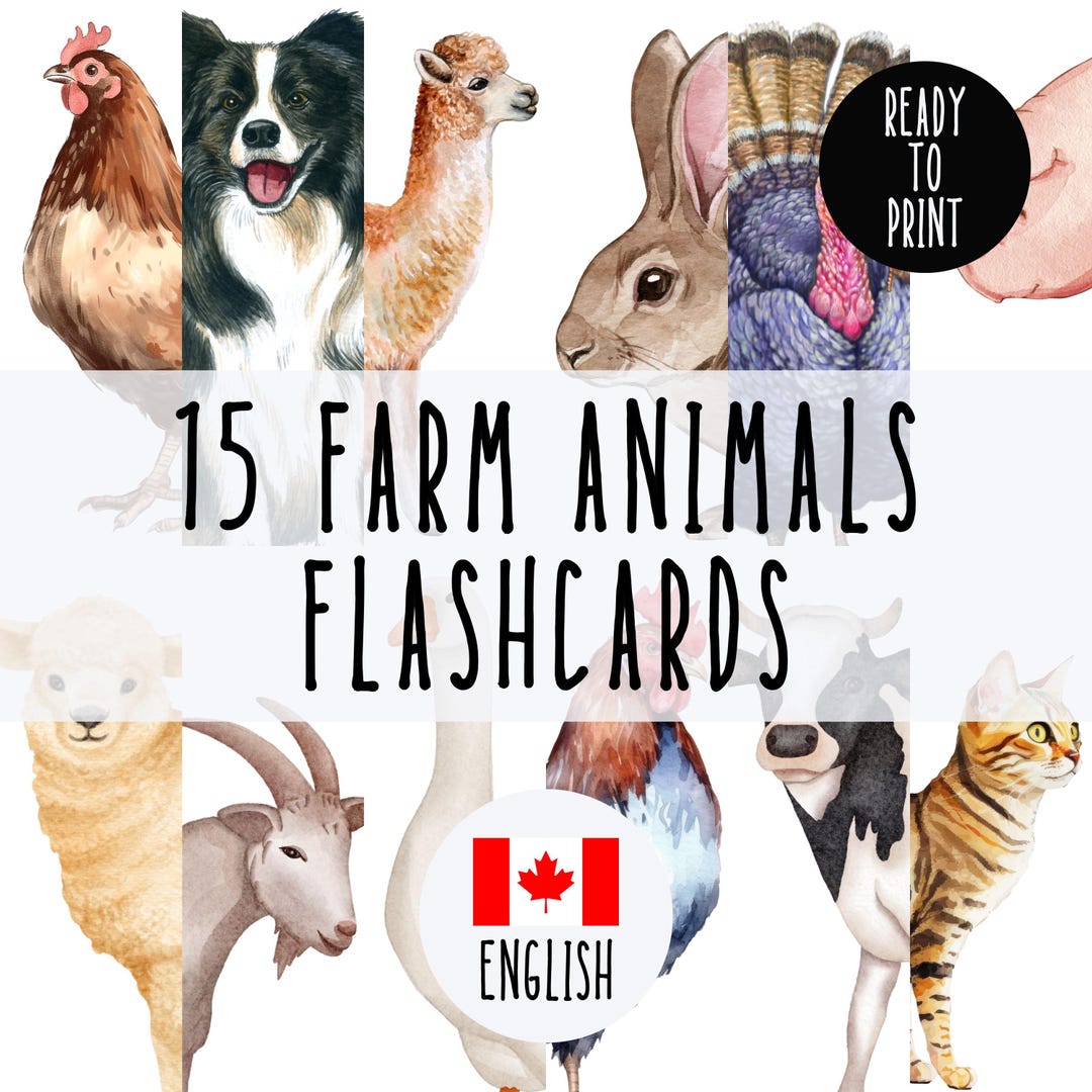 15 FARM ANIMALS FLASHCARDS | English Learning Resources | Montessori ...
