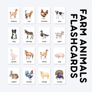 FARM ANIMALS FLASHCARDS | Educational Printable Cards | Montessori Pre ...