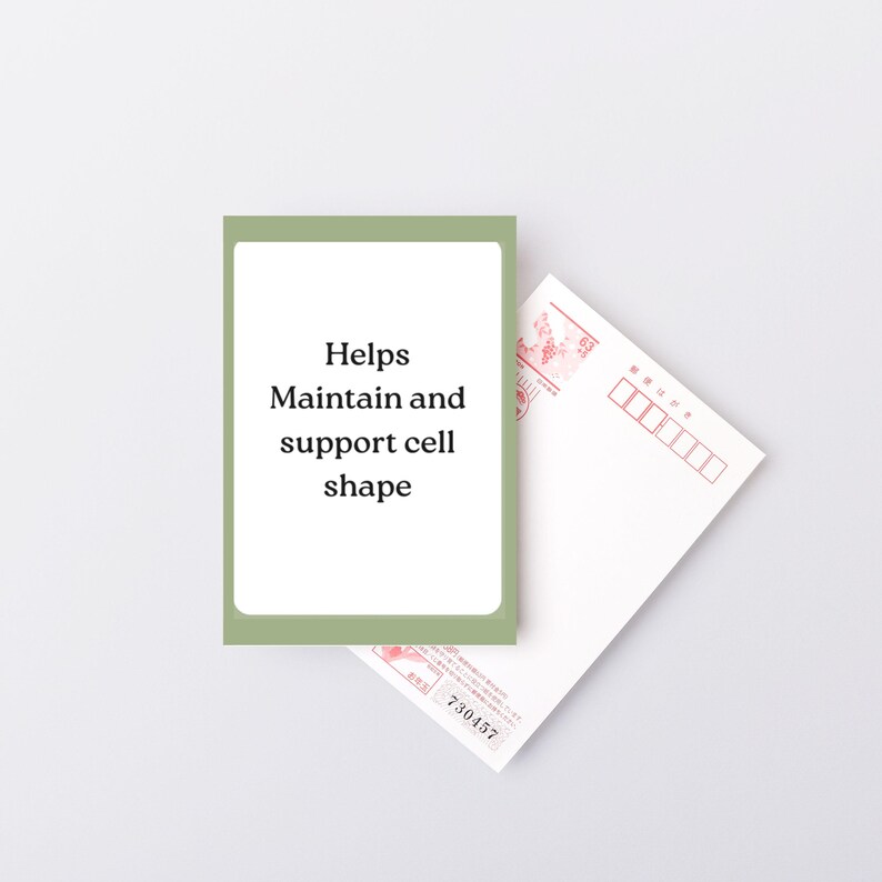 Cell Organelle Flashcards/matching Cards | for Students & Teachers ...