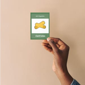 Cell Organelle Flashcards/matching Cards | for Students & Teachers ...