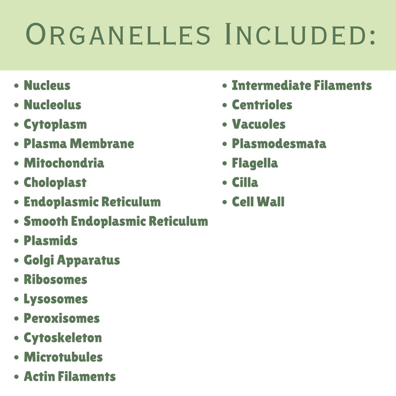 Cell Organelle Flashcards/matching Cards | for Students & Teachers ...