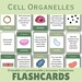 Cell Organelle Flashcards/matching Cards | for Students & Teachers ...