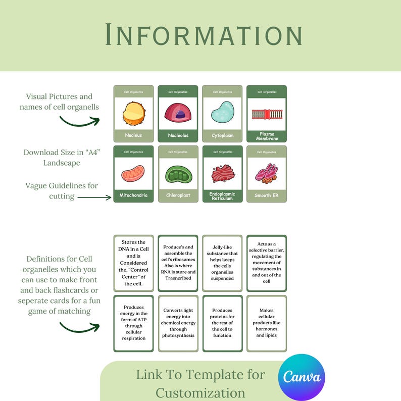 Cell Organelle Flashcards/matching Cards | for Students & Teachers ...