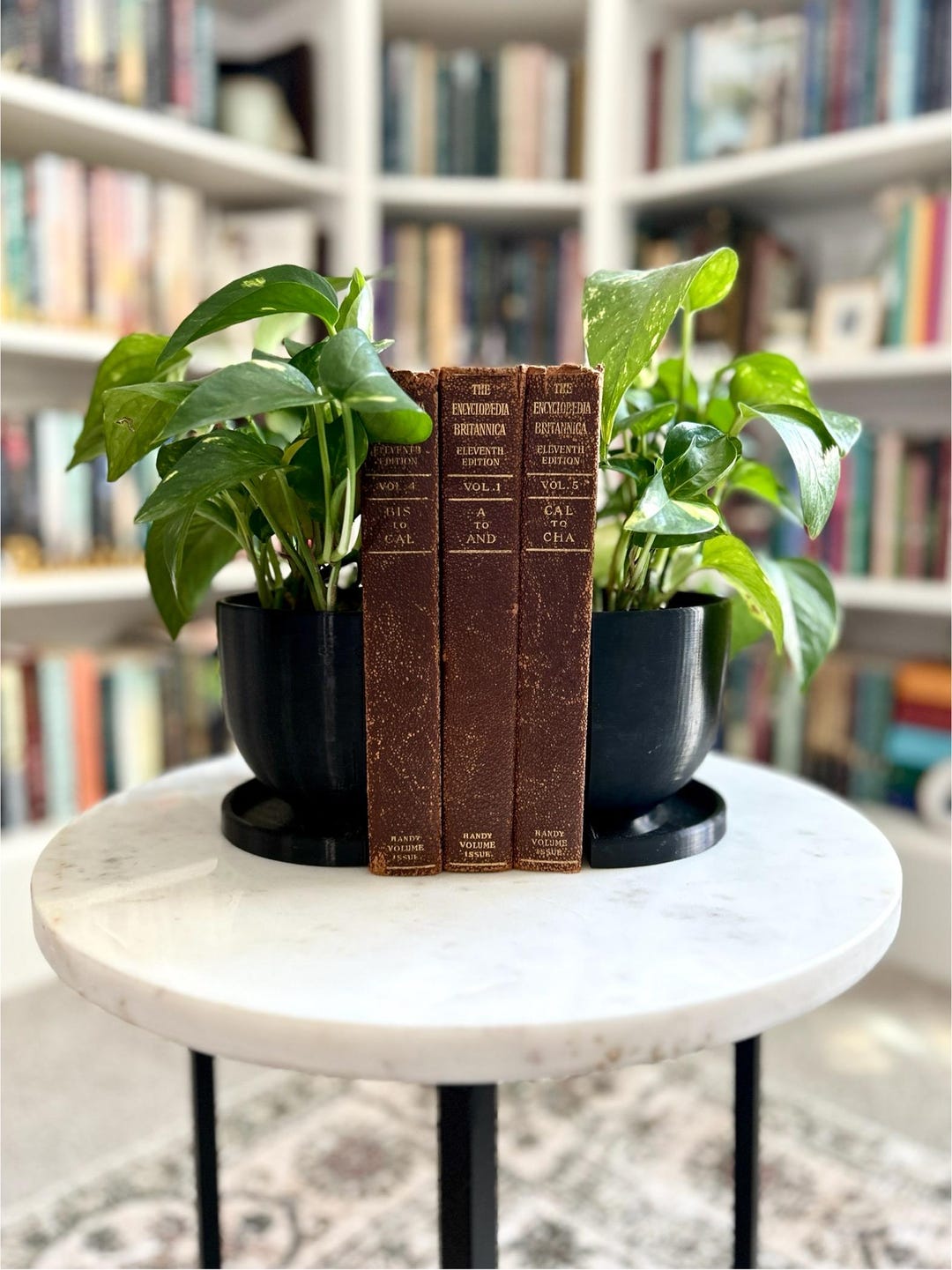 PLANTER BOOKENDS | Book Swag | Library | Bookish Gift | Plants | 3D ...