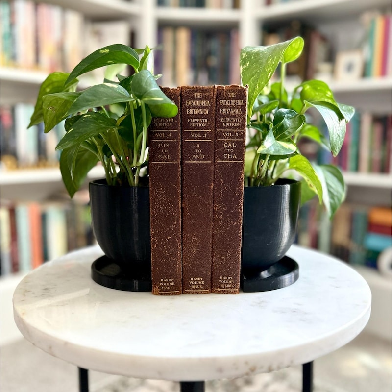 Ceramic Plant Bookend - Etsy