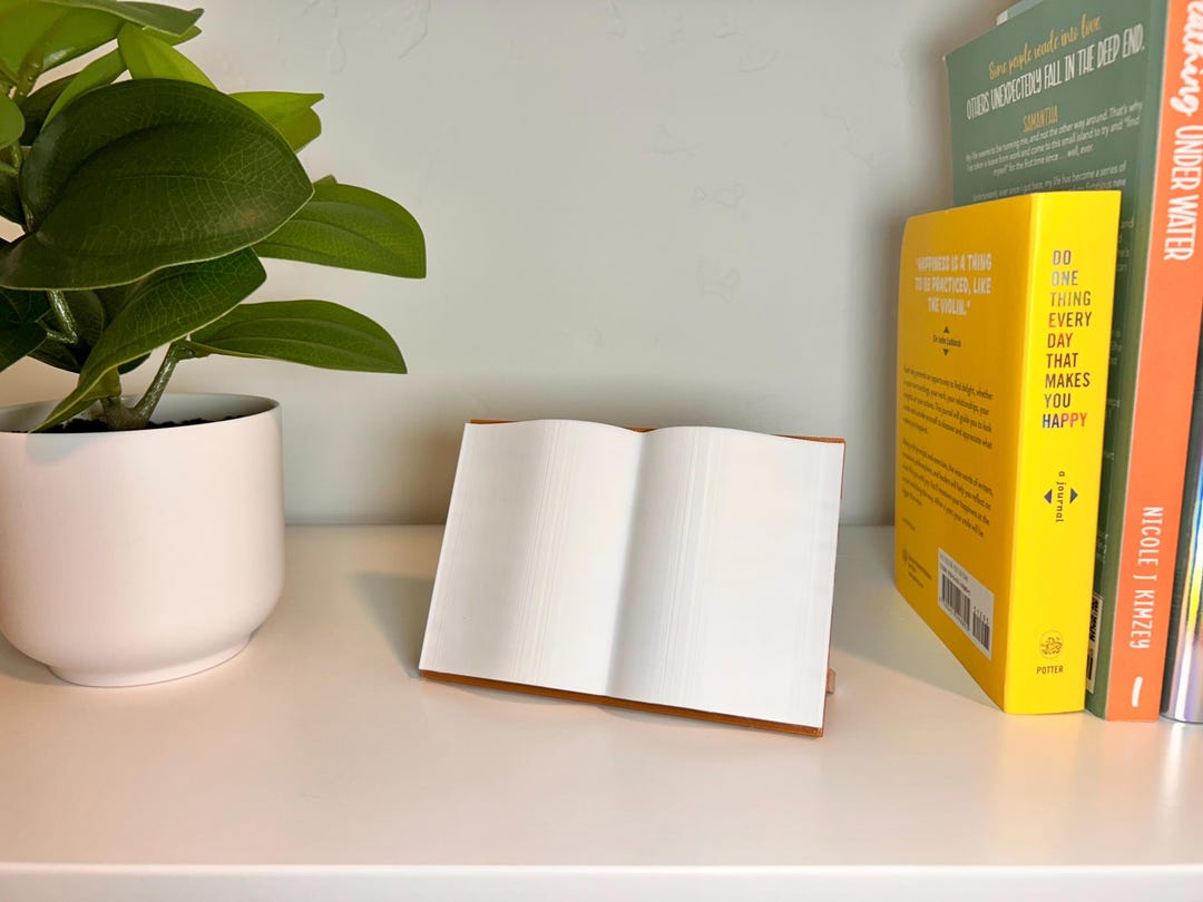 STORY STRAIGHTENER Shelf Organizer OCD Shelf Alignment Tool Book ...