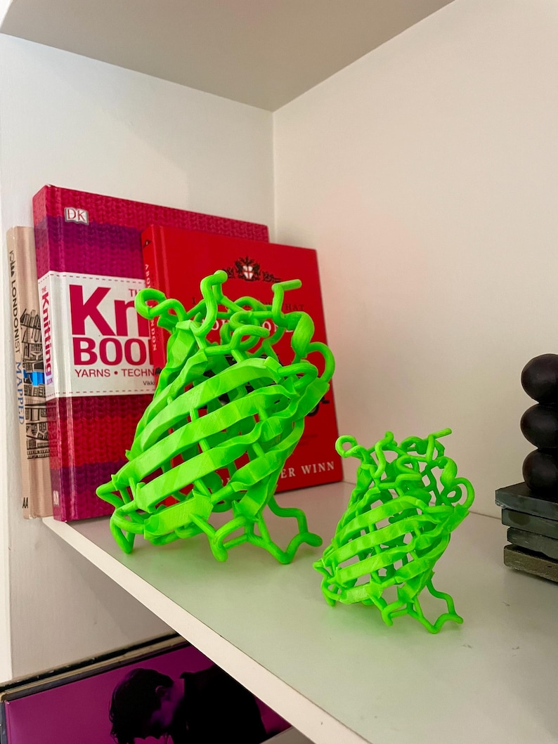 3d-printed GFP Protein Model | Science Teacher Gift - Etsy Australia