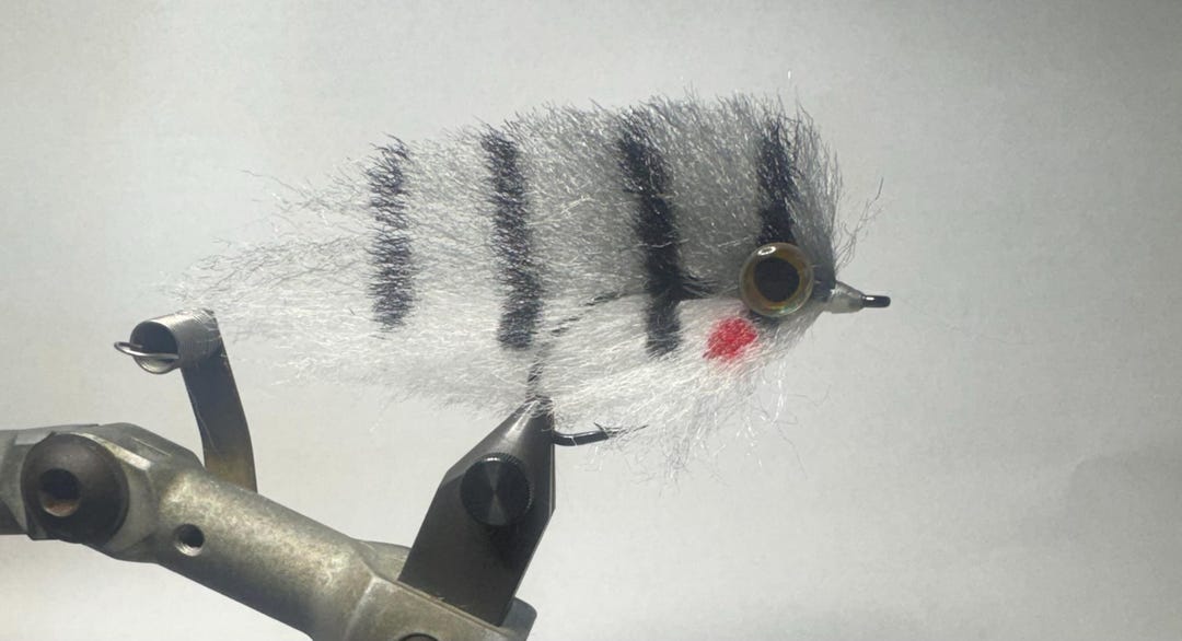 Pinfish Fly - 2/0, 3-pack, Gray/white - Etsy