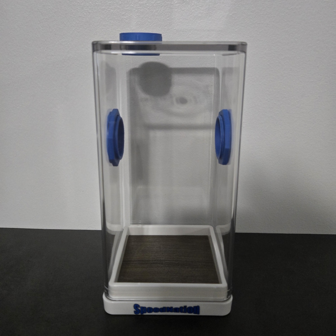 Acrylic Jumping Spider Enclosure, Vents, Feeding Port (8" X 4" X 4") - Etsy