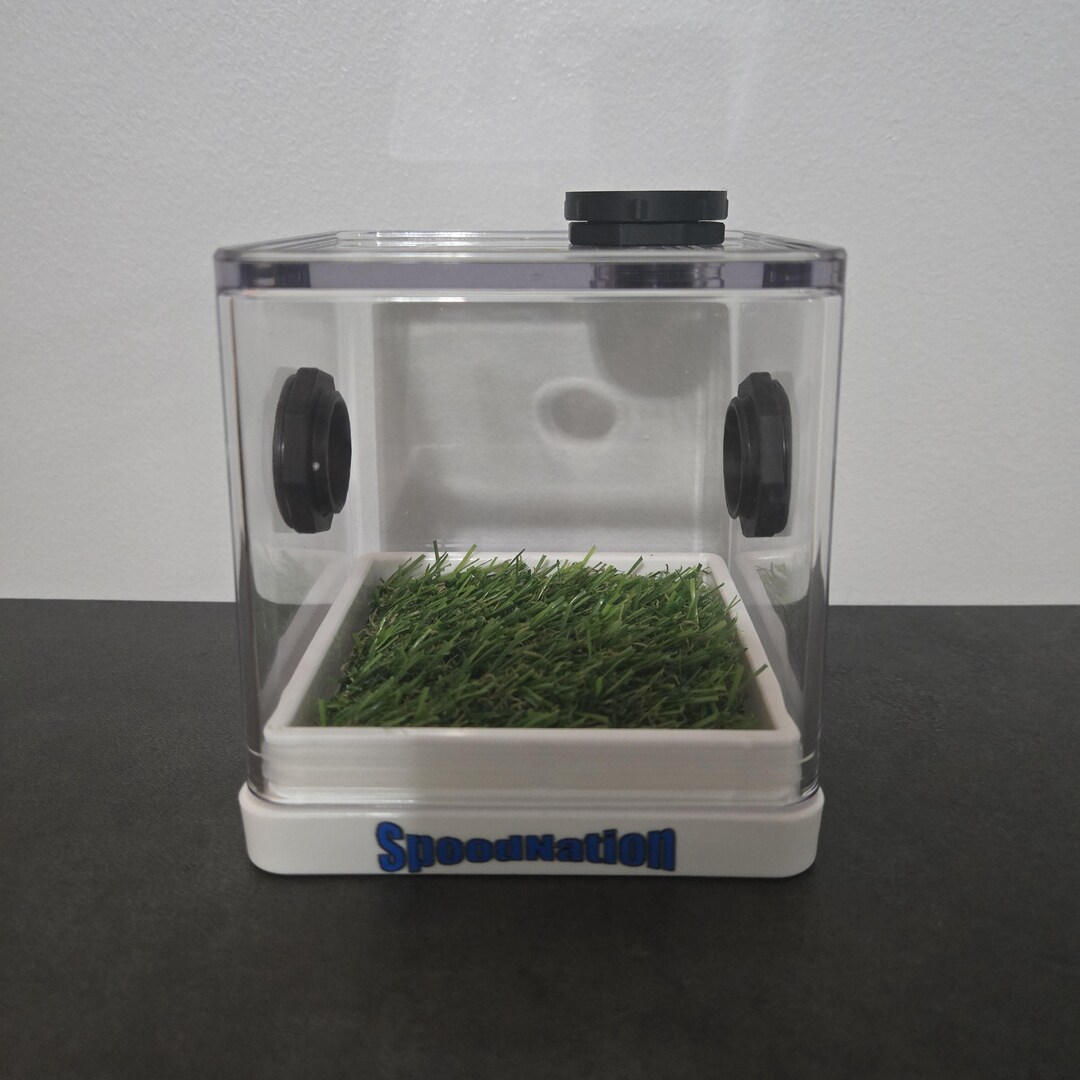 Acrylic Jumping Spider Enclosure, Feeding Port, Vents, Installed Floor ...