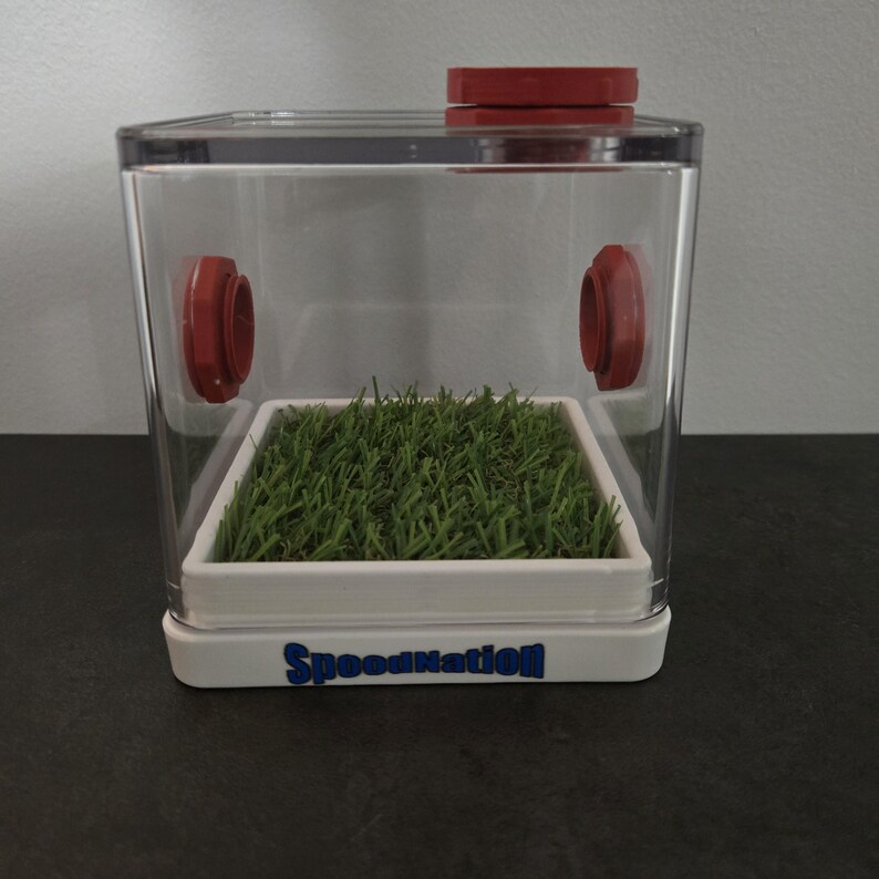 Acrylic Jumping Spider Enclosure, Feeding Port, Vents, Installed Floor ...