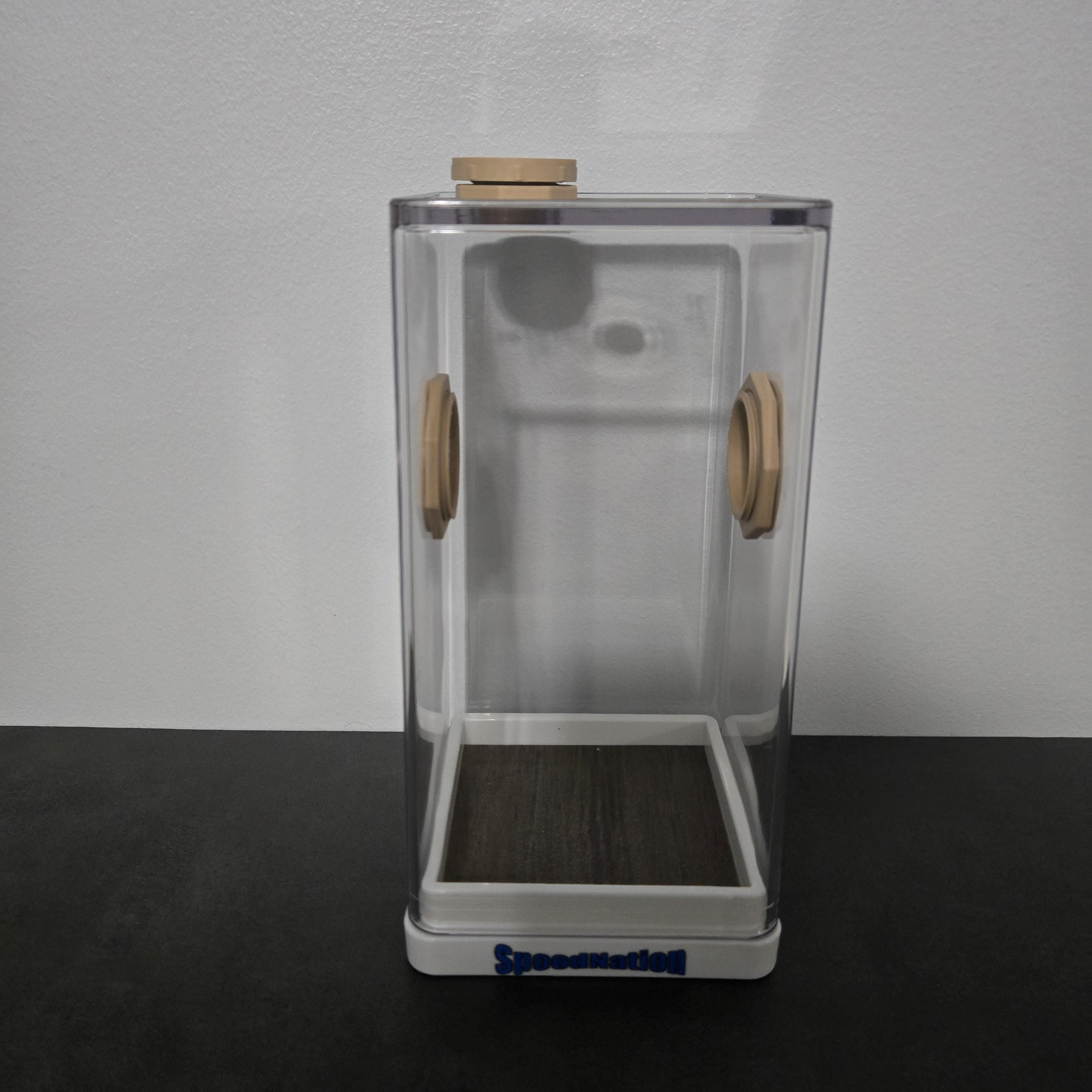 Acrylic Jumping Spider Enclosure, Vents, Feeding Port (8" X 4" X 4") - Etsy