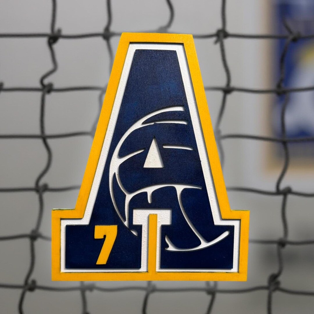 Custom VOLLEYBALL Letter Sign – 12" Personalized Jersey Number Wall ...