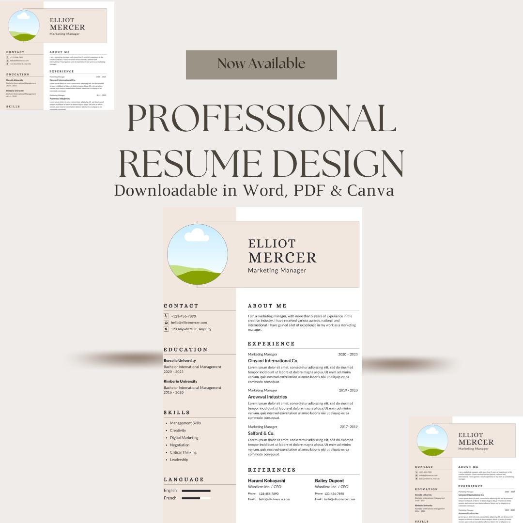Professional Resume Template | Editable in PDF, Word & Canva | Modern ...