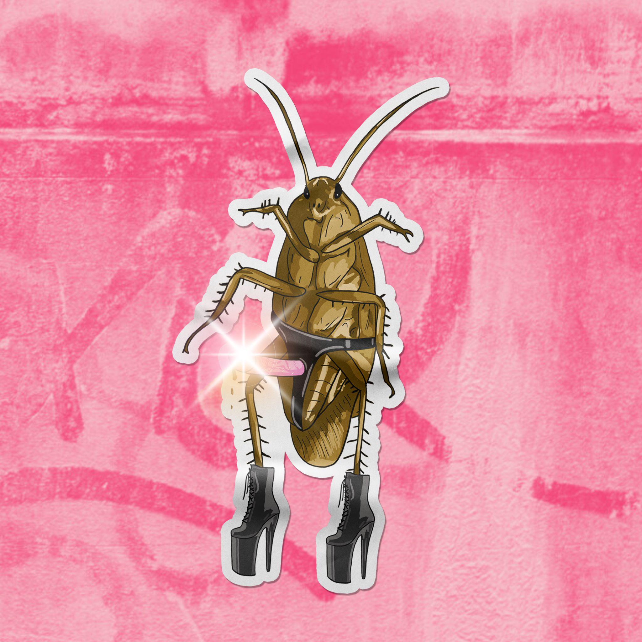 Bend Over Bitch STICKER - Die Cut Vinyl, Laptop Sticker, Cockroach ...